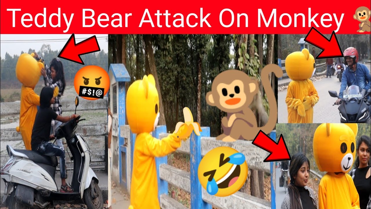 Teddy Bear Attack On Monkey 🐒 |Public Funny Reaction🤣 | Siliguri Teddy ...