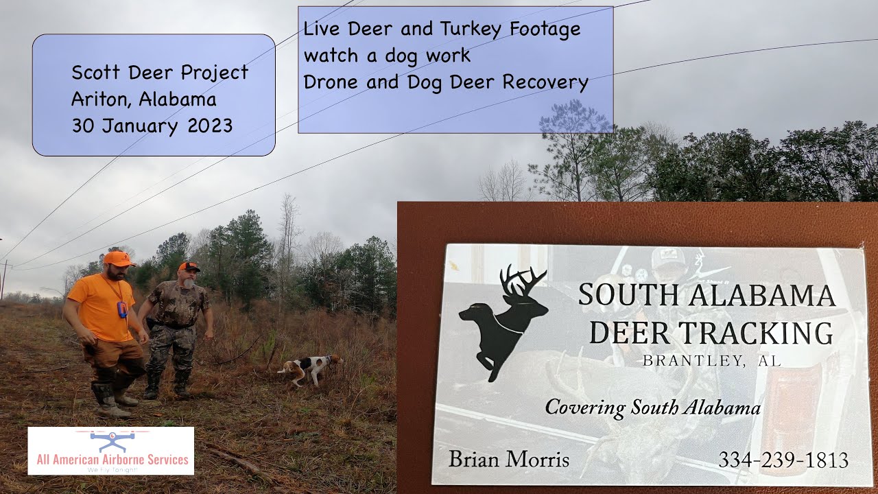 Scott Deer Recovery Project Ariton, Alabama South Alabama Deer Tracking ...