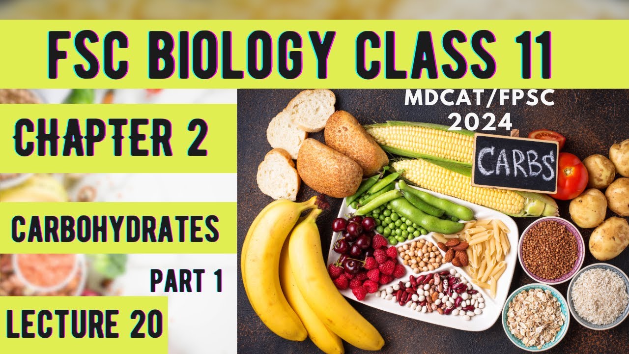 Carbohydrates Part 1 | Chapter 2 | Biological Molecules | Class 11 ...