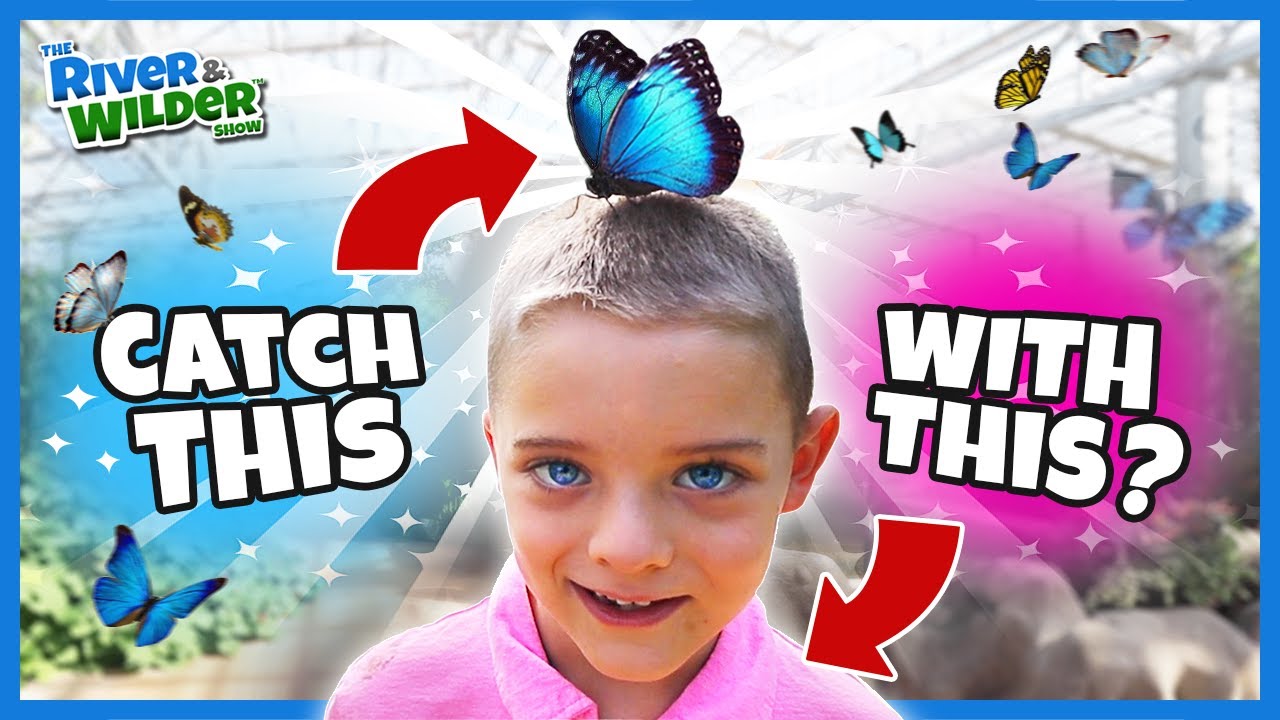 KIDS BUTTERFLY CHALLENGE ...and we eat bugs? - YouTube