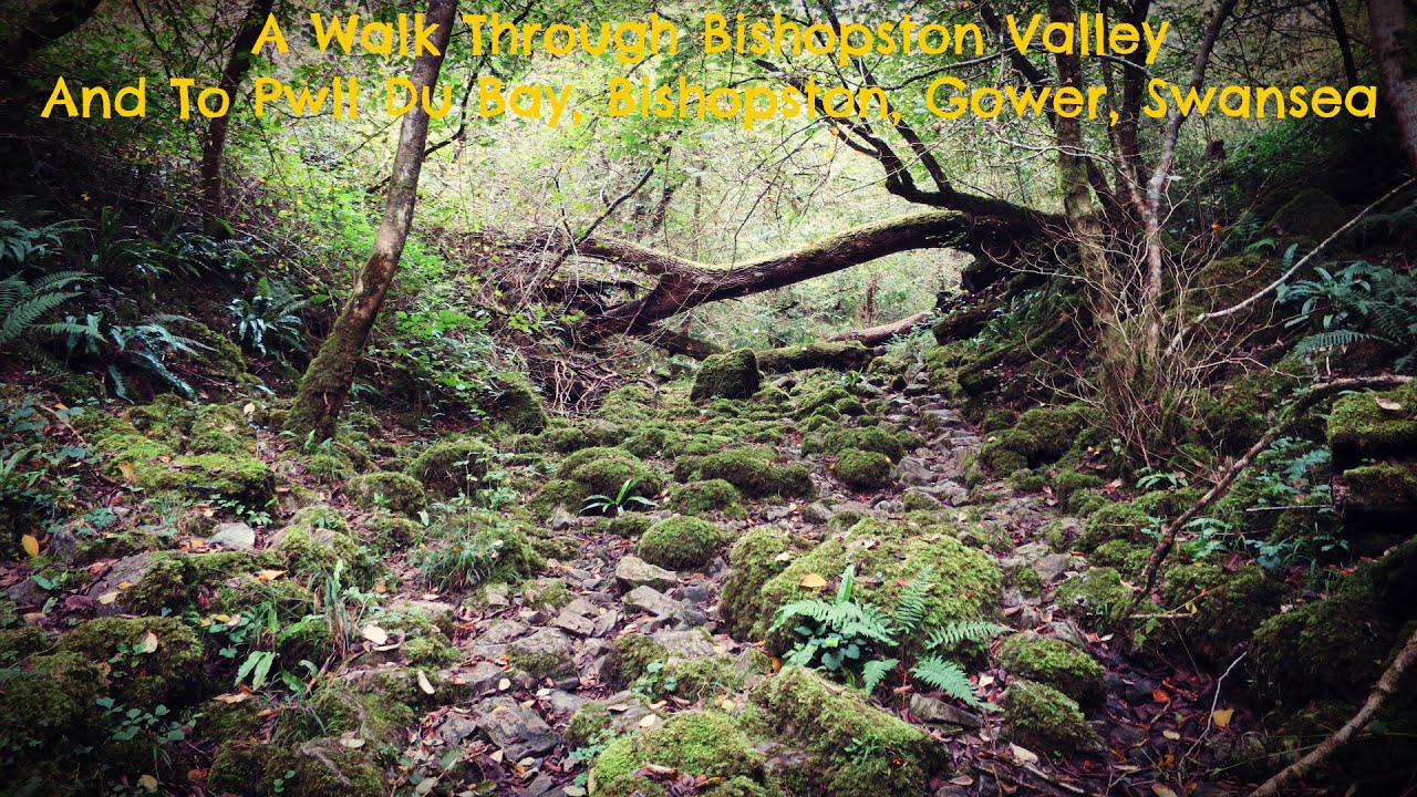 A Walk Through Bishopston Valley And To Pwll Du Bay - YouTube