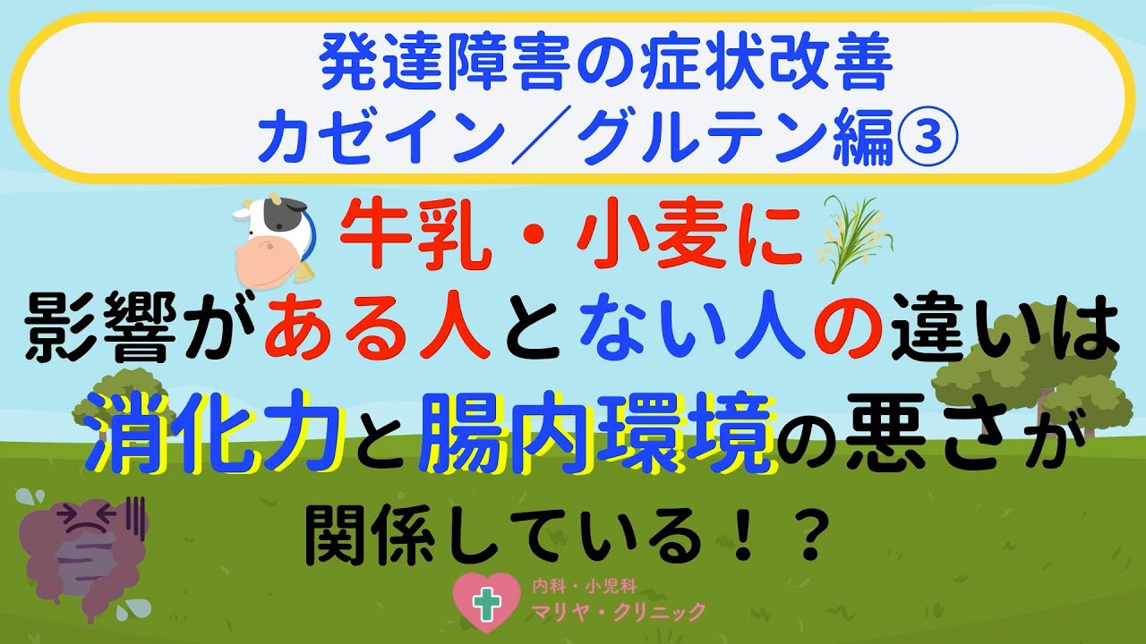【発達障害の症状改善】カゼイン/グルテン編③ ~ 牛乳・小麦を食べて影響がある人とそうでない人の違いは 消化力の弱さと腸内環境の悪化による腸のダメージが関係 ~ Youtube