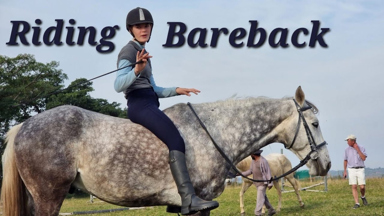 BAREBACK SESSION! WALK TROT CANTER | Equine Abi - YouTube