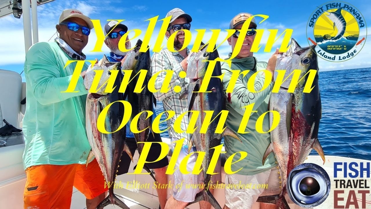 How to Properly Fillet a Yellowfin Tuna - YouTube