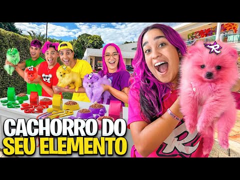 QUEM FIZER O MELHOR PET DOS ELEMENTOS, VENCE ! *Pintamos elas ?