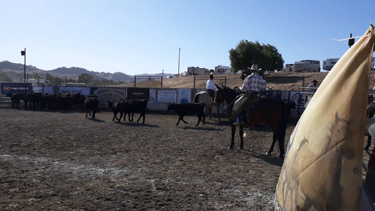 The 2019 Buck Brannaman Vaquero Ranch Roping contest...but this time I ...