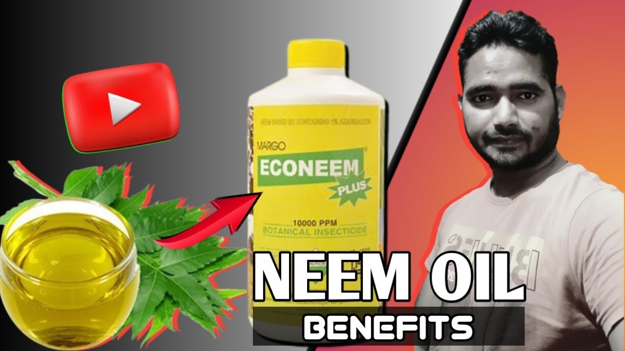 NEEM OIL: Benefits and Impact on Pests 🪳🦟 Management #NeemOil - YouTube