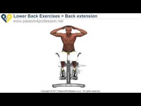 Back extension Hyperextension lower back exercises YouTube - YouTube