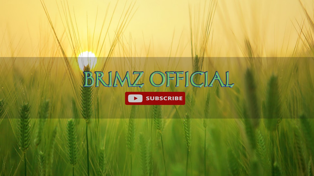 Live Stream BRIMZ OFFICIAL - YouTube