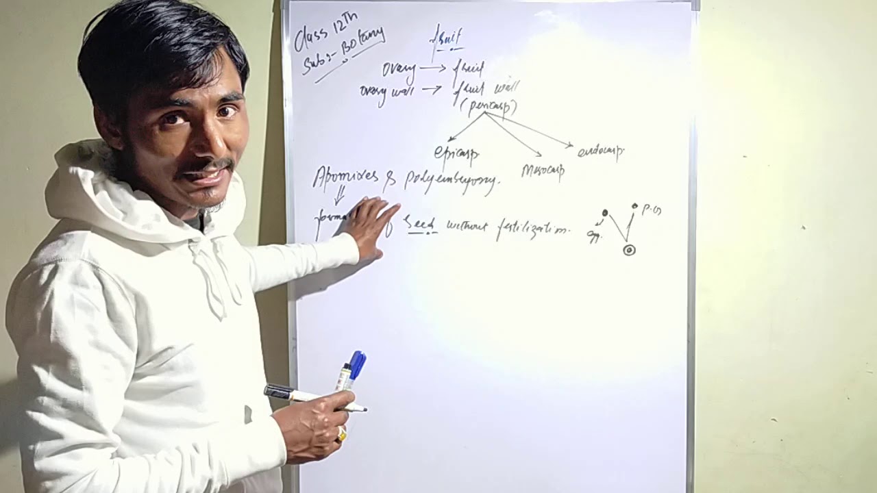 Fruits Class 12th Botany YouTube fruits-class-12th-botany-youtube