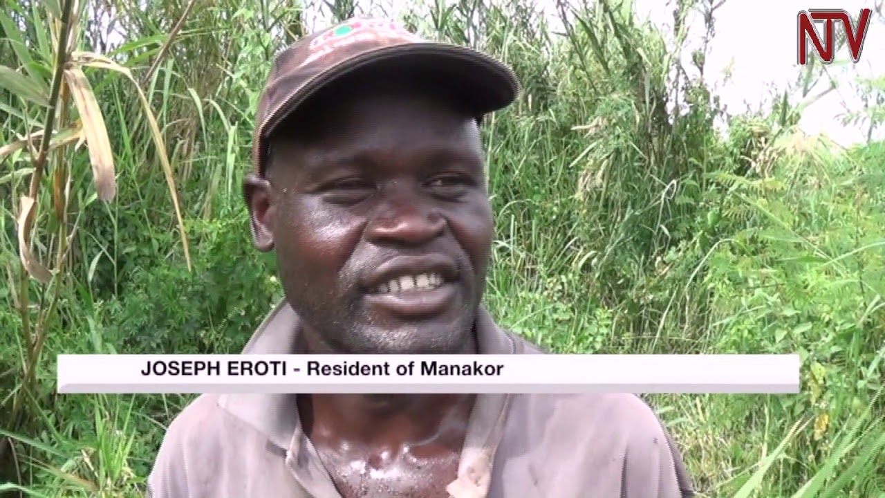Fish mysteriously dying in river malaba, industrial pollution suspected ...