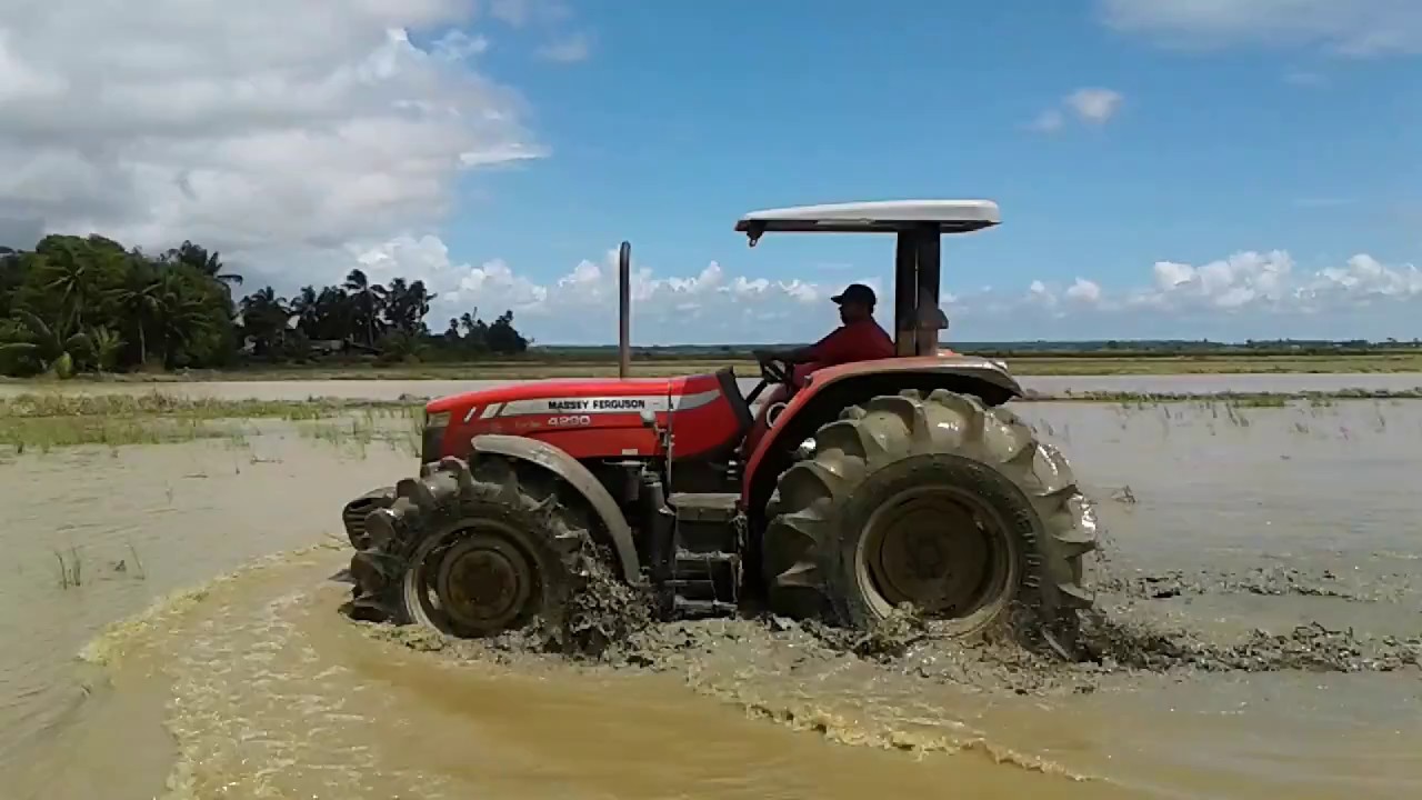 Brand New tractor Massey Ferguson 4290 turbo mudding in the rice field ...