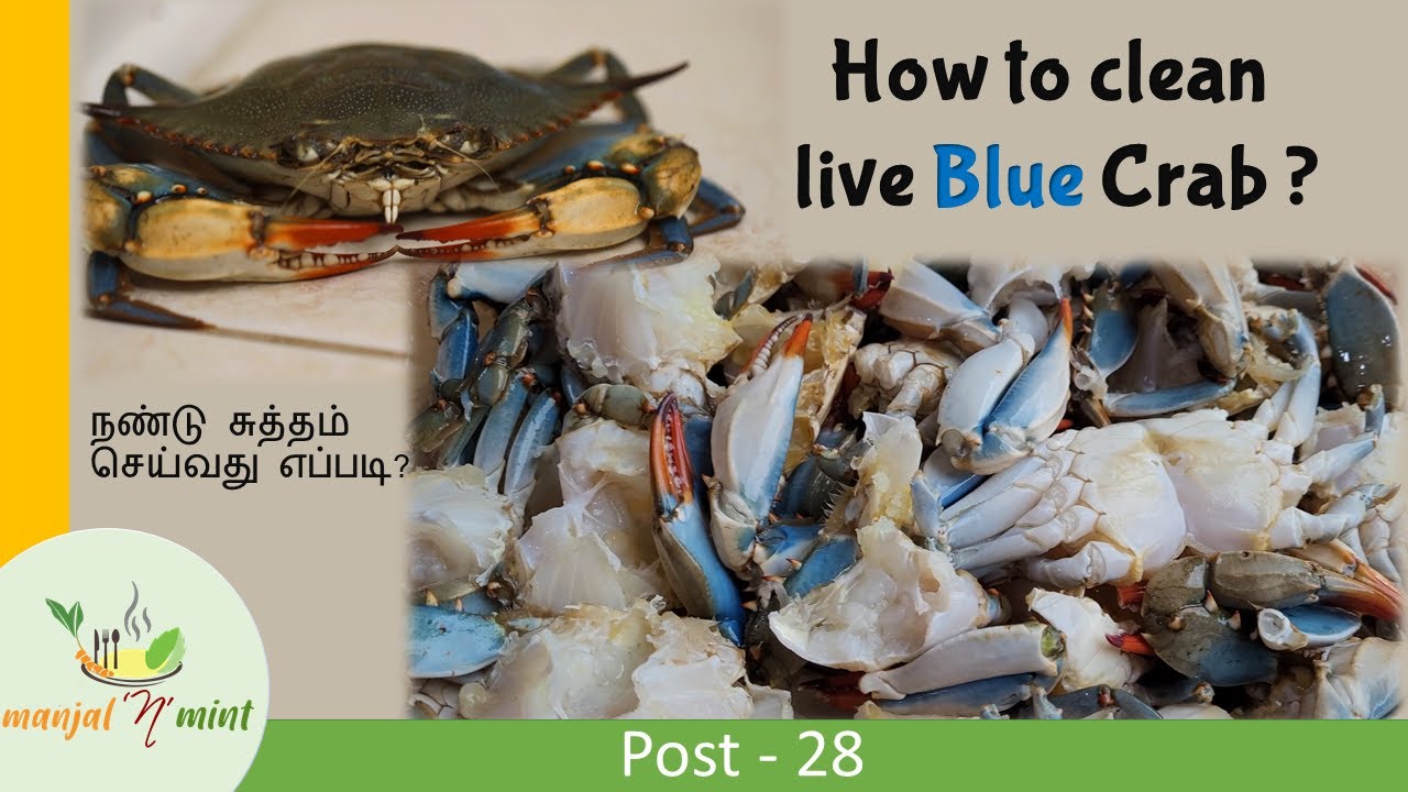 how to clean crab at home | blue crab cleaning |நண்டு சுத்தம் செய்வது ...