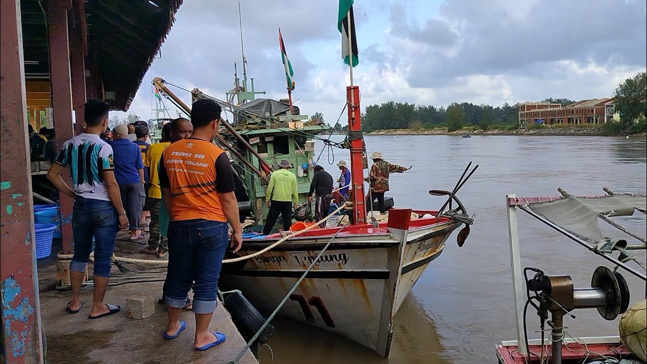 Pendaratan ikan fresh Nelayan balik hari di jeti Marang 16/12/2023 ...
