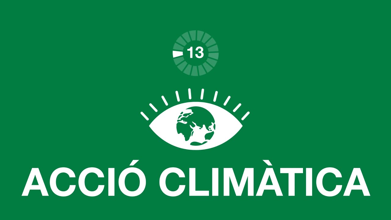 13 Acció climàtica - YouTube