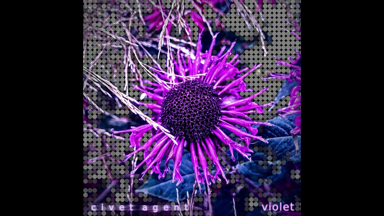 Civet Agent - Violet - YouTube