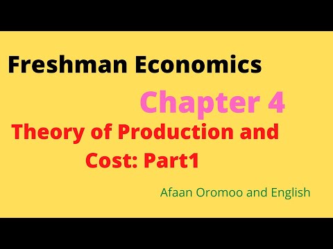 Freshman Economics (Econ1011) Chapter 4:Theory of Production and Cost ...