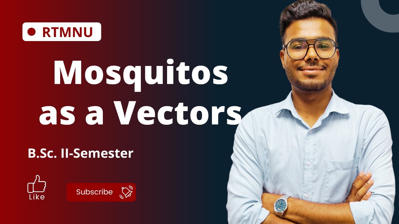 L6 Zoology- B.Sc. II-Semester | Insects as a Vector Mosquito | Ankush ...