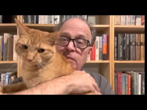 Pip the cat interrupts poetry reading | blooper - YouTube