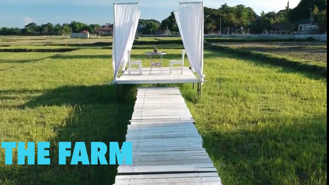 THE FARM!!! AGOO LA UNION - YouTube