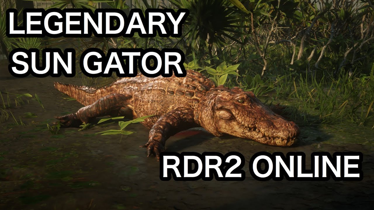 LEGENDARY SUN GATOR RED DEAD REDEMPTION 2 ONLINE - YouTube