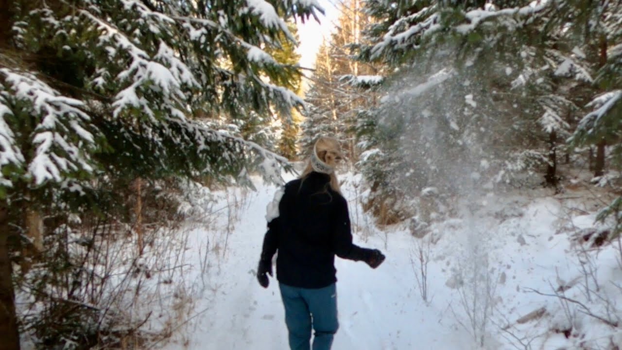 Winter Hiking & Camping in Glaskogen Naturreservat Sweden March 2023 ...