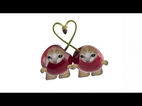 Vizyon Panosu Subliminal + Visual