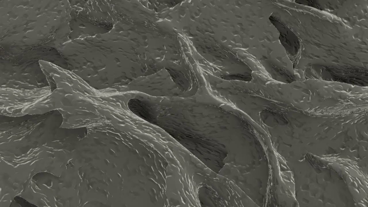 How to create bone organization with Houdini & Blender - YouTube