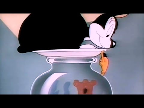 Looney Tunes - El Gato y el Pez | 1943 | Español Latino - YouTube