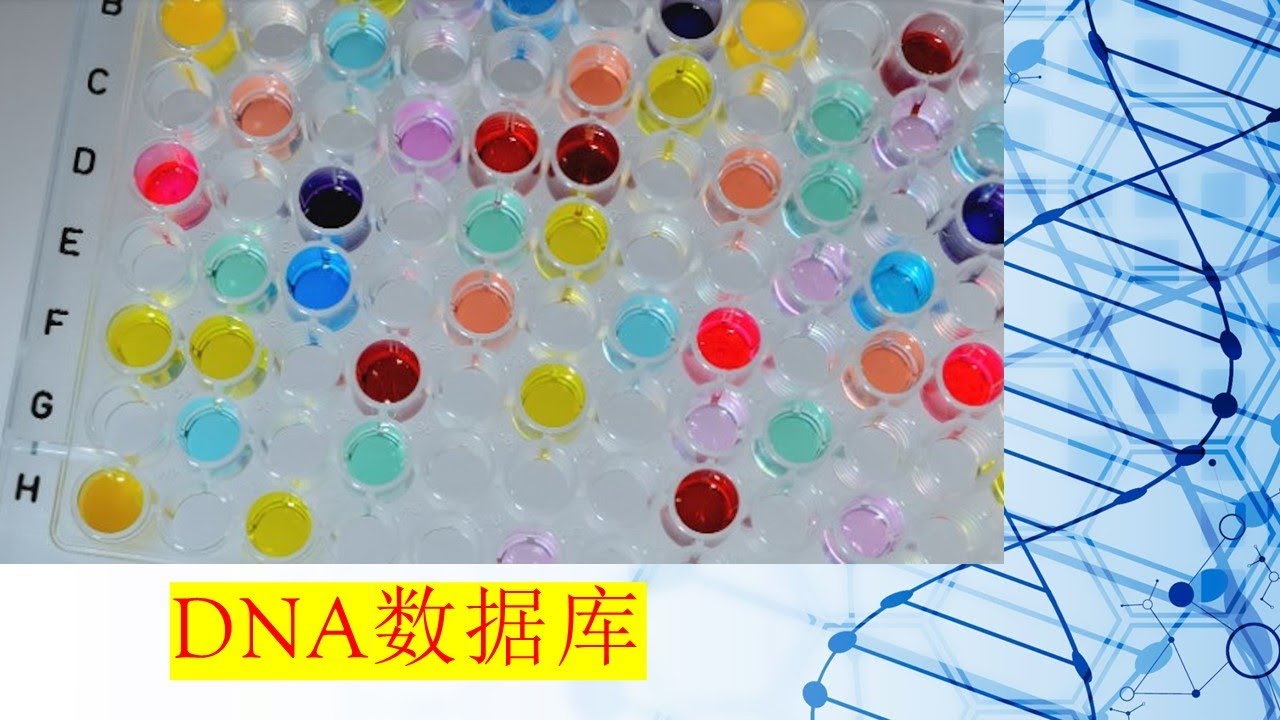 DNA数据库的透视概述 (Chinese) 在五分钟内 - YouTube