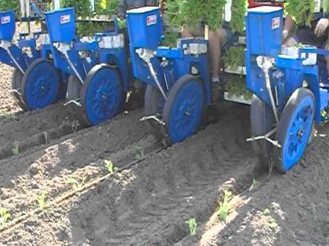 FERRARI PLANTER - MODEL FMAX - TOBACCO - YouTube