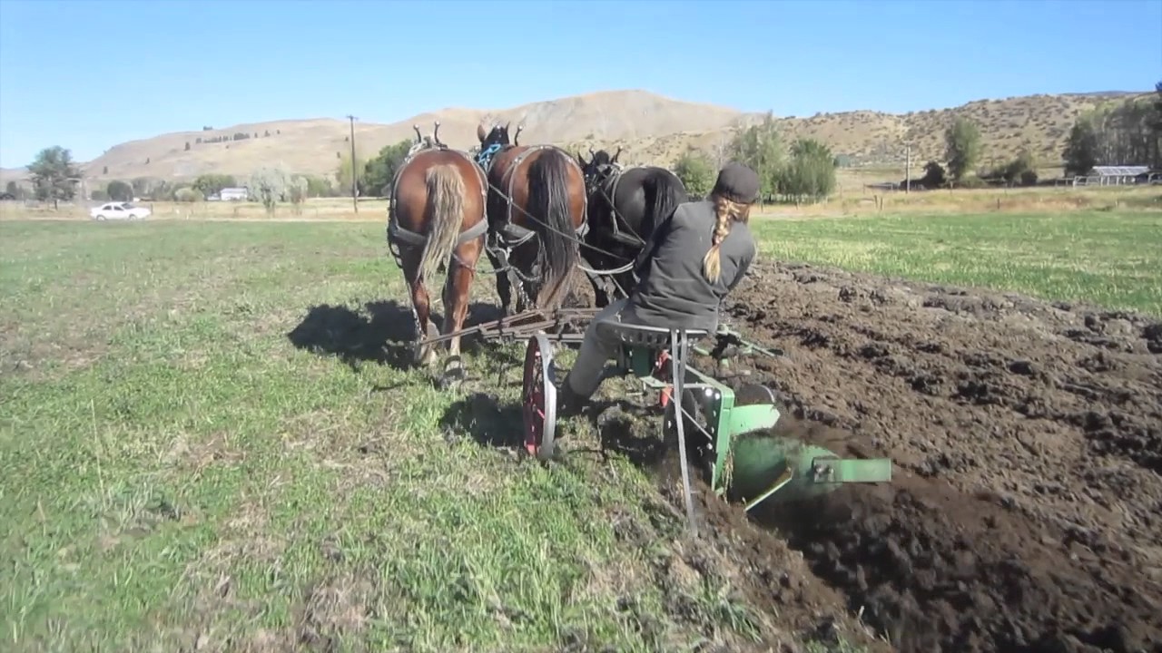 Plowing with Horses Three Abreast - YouTube