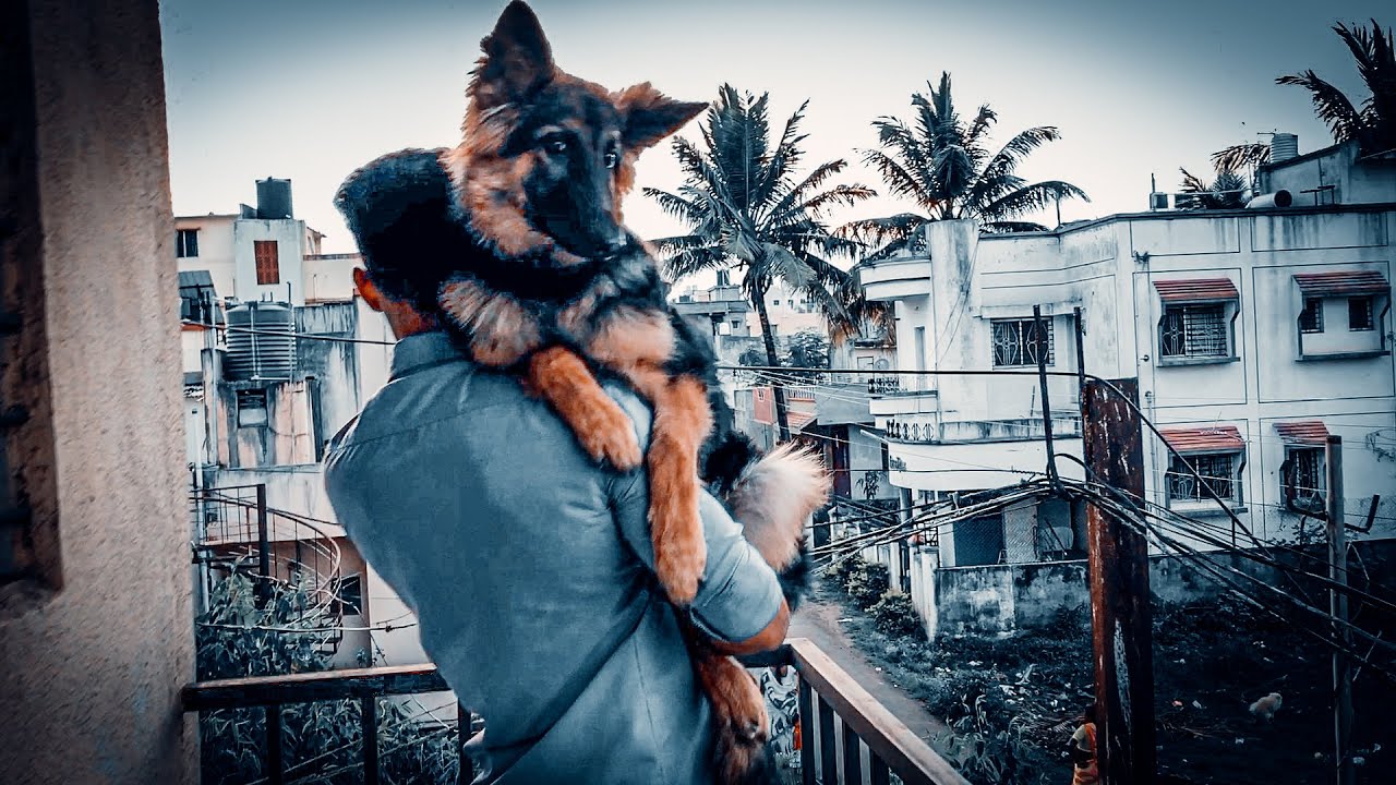 Mega Unboxing, Triceps & Legs Workout | Raj Kadam - YouTube