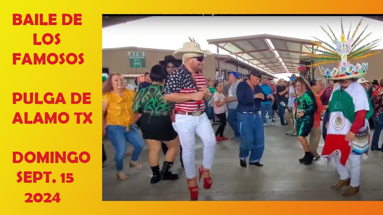 Pulga De Alamo Tx