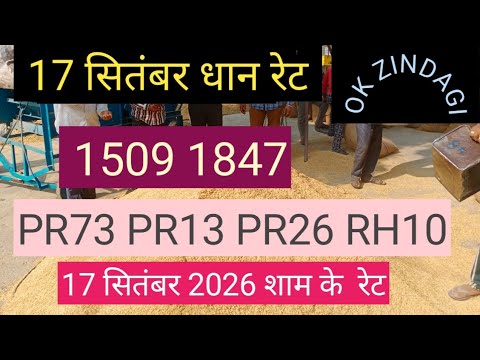 1509 1847 Super52 PR73 PR 13 PR26 RH10 PADDY PRICE TODAY | धान के रेट 
