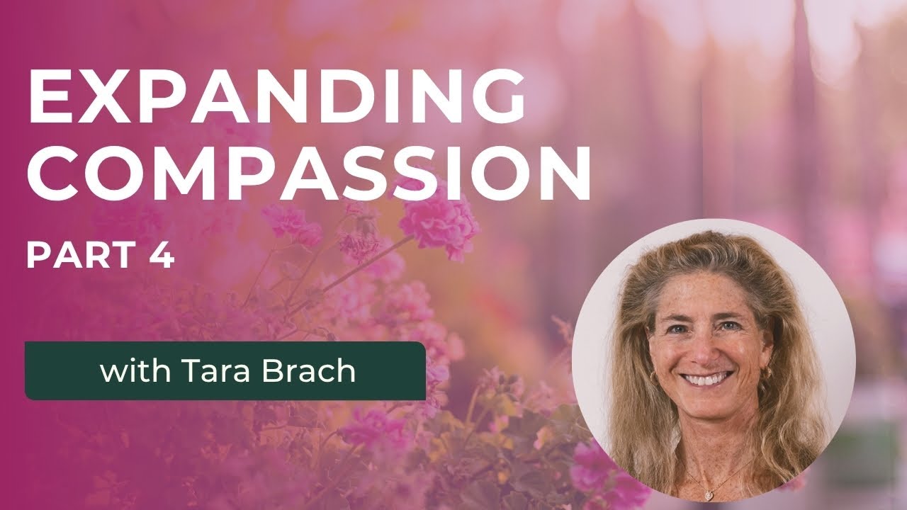 Awakening Love | Tara Brach on Shifting From Separation to Connection ...