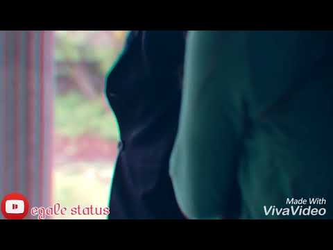 love staus 2018 whatsapp status