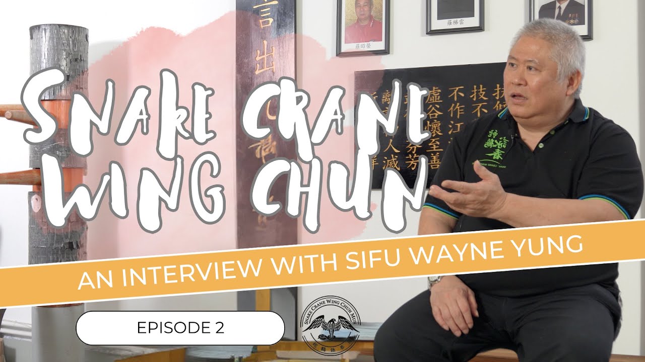 Snake Crane Wing Chun - An Interview with Sifu Wayne Yung (Episode 2) # ...
