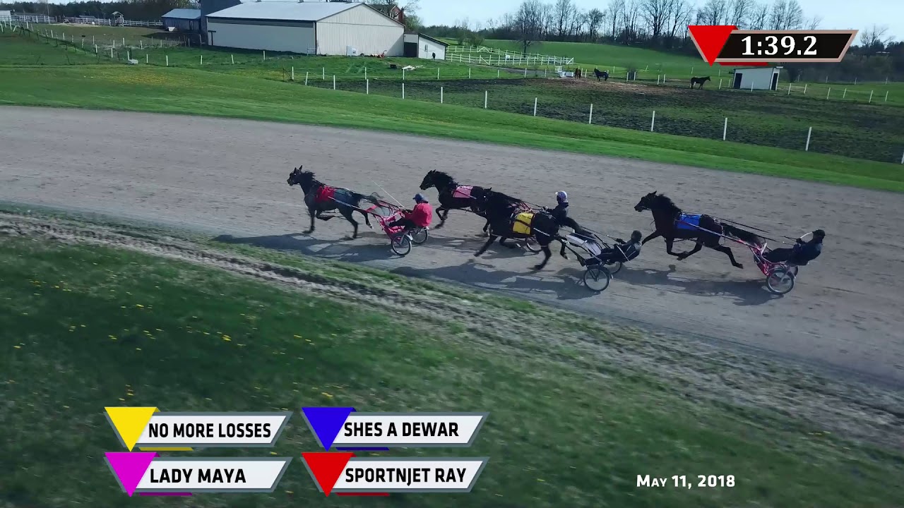 SHES A DEWAR, LADY MAYA, SPORTNJET RAY, NO MORE LOSSES, BLAKE MACINTOSH ...