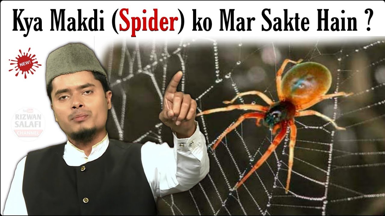 Kya Makdi (Spider) ko Mar Sakte Hain || Sheikh Abdul Ghaffar Salafi ...