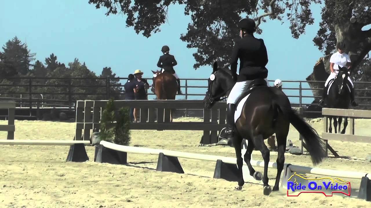 342D Jennifer Joslin on Sotto Voce SR Beginner Novice Dressage Woodside ...