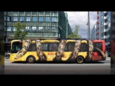 Bus with cool wallpaper