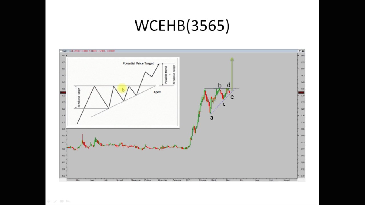 WCEHB: Long term Target 300% return ! - YouTube