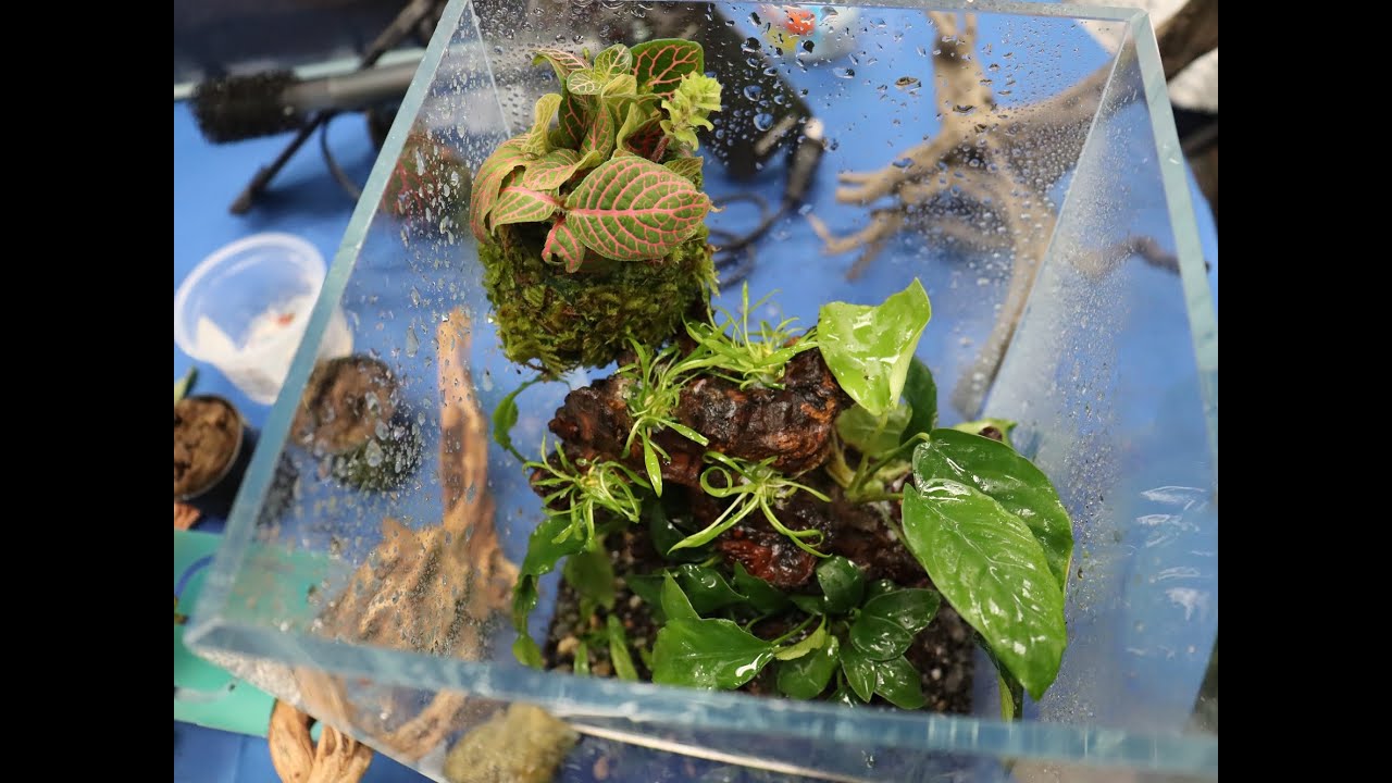 Build your own tank at this incredible store! - YouTube