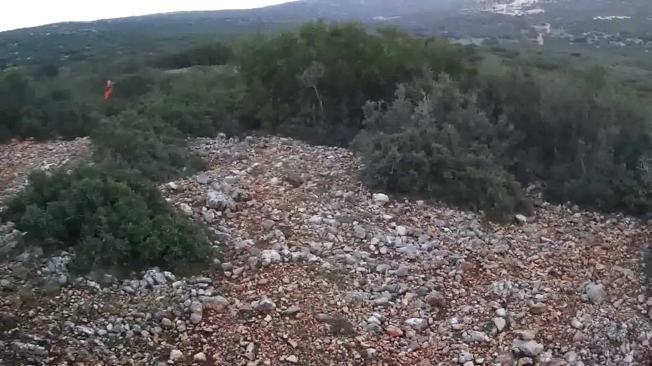 κυνηγι μπεκατσας πουρναρια aris - patty - YouTube