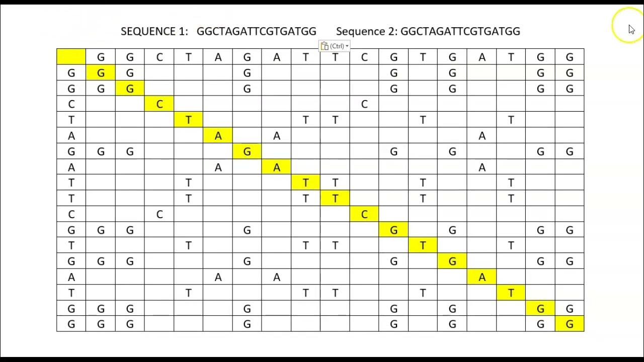 Introduction to dotplots for sequence alignment - YouTube