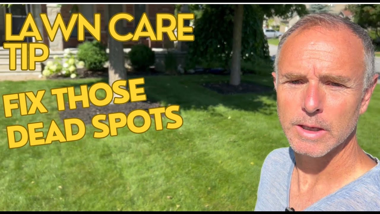 Dead Grass Repair Growing Your Own RPR Plugs - YouTube