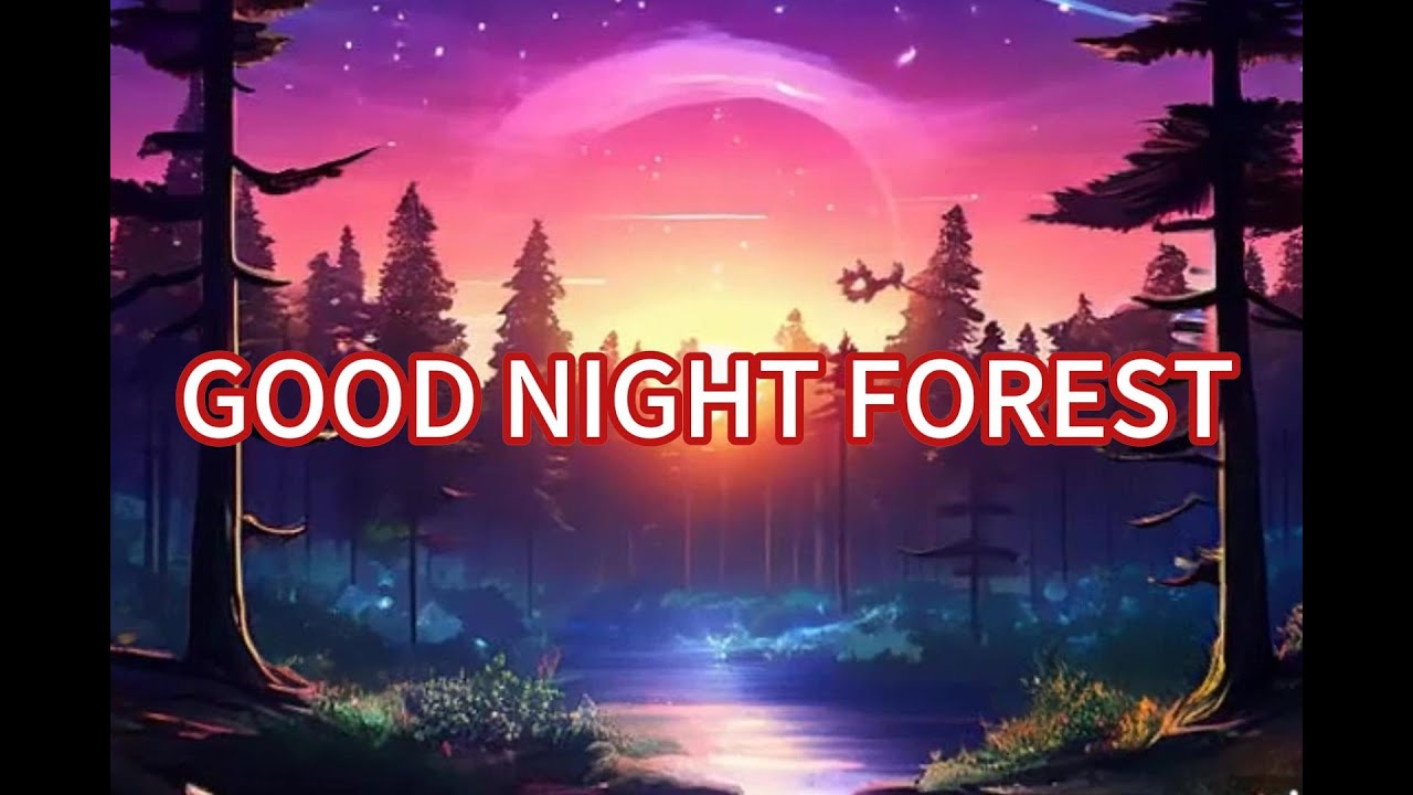 Good Night Forest - YouTube