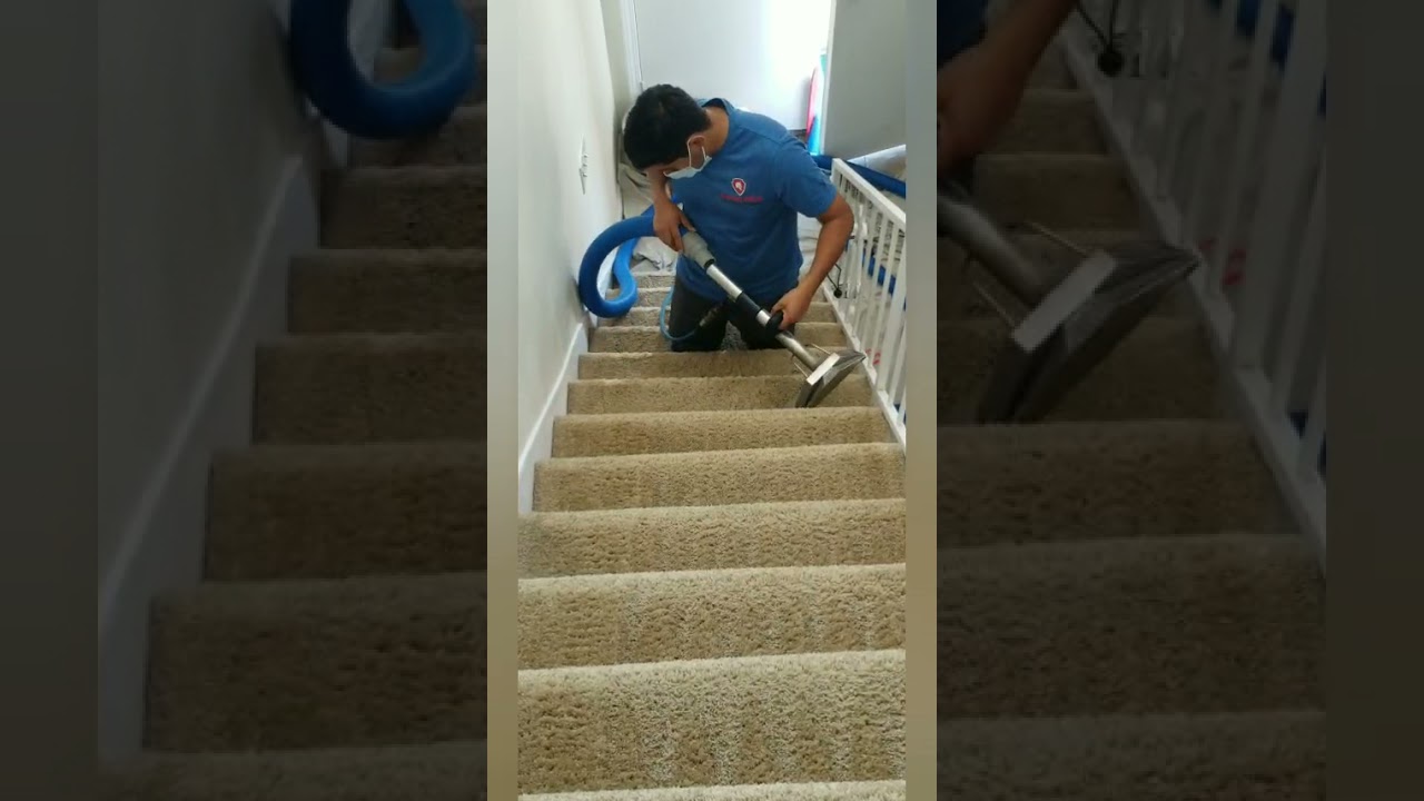 Amazing carpet cleaning for a repeat client 😏😎💪💯 - YouTube
