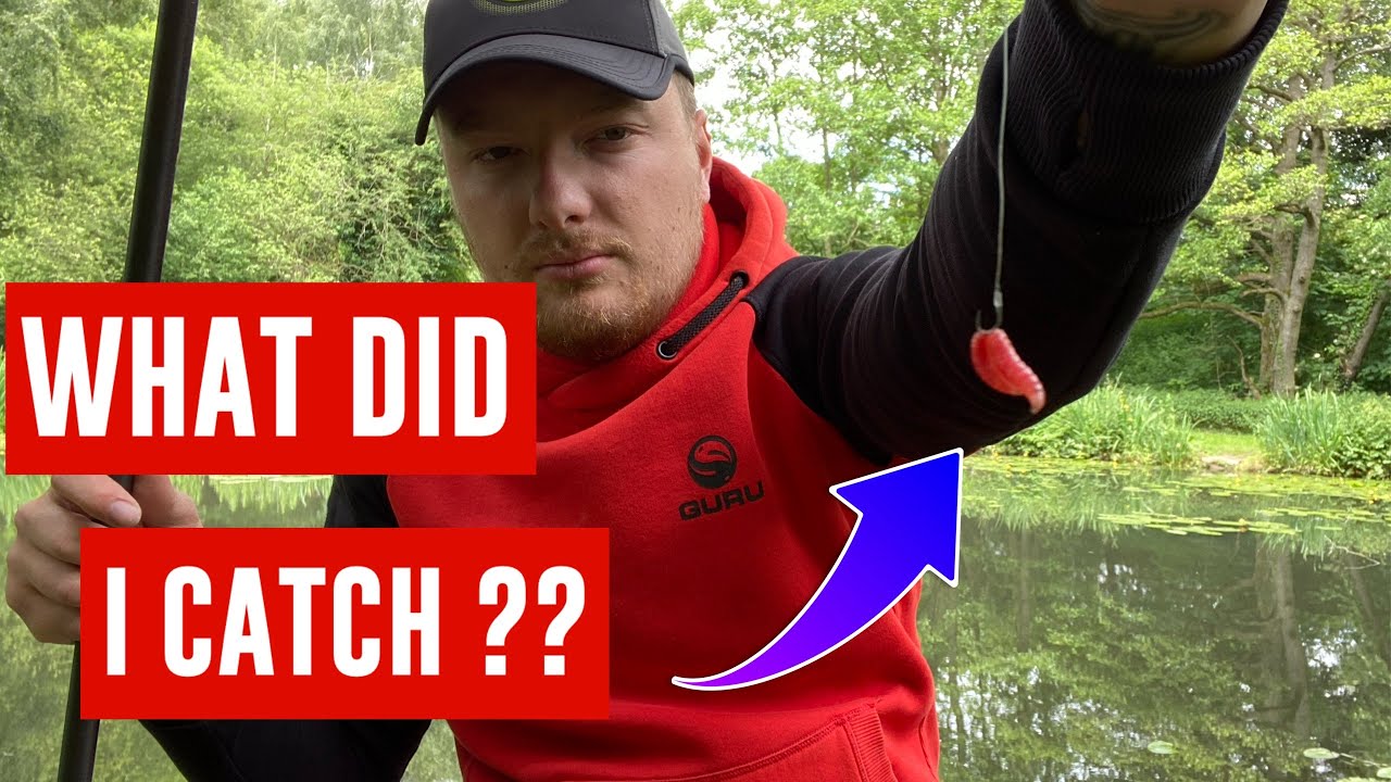 What Type Of Fish Can I Catch Using Dead Maggots ??? - YouTube